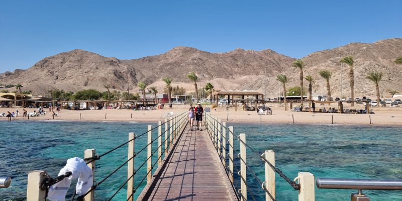 חוף האלמוגים: השמורה הימית הקסומה של אילת - בשביל המשפחה