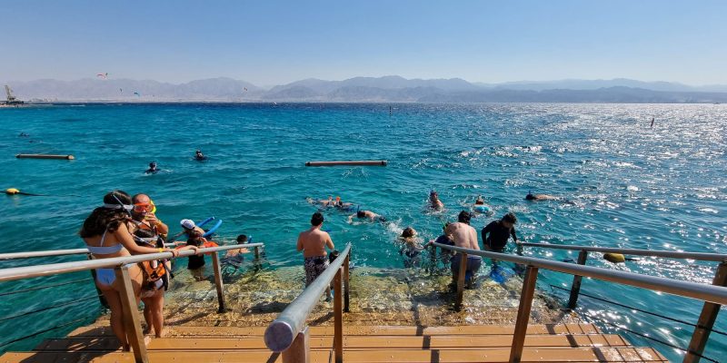 חוף האלמוגים: השמורה הימית הקסומה של אילת - בשביל המשפחה