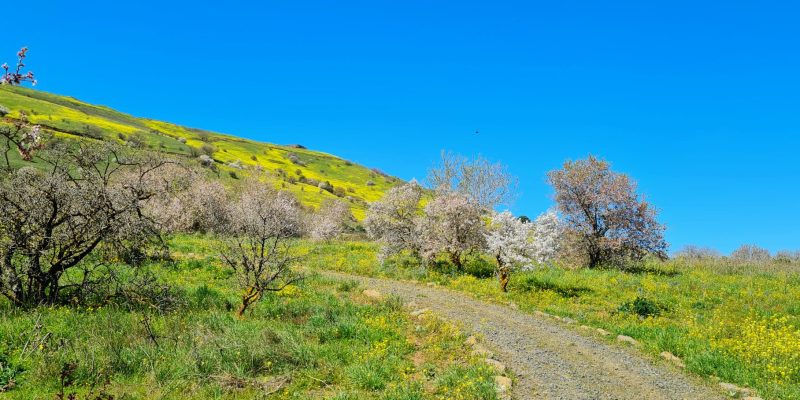 מסלול עמק הבוסתנים – רמת הגולן - בשביל המשפחה